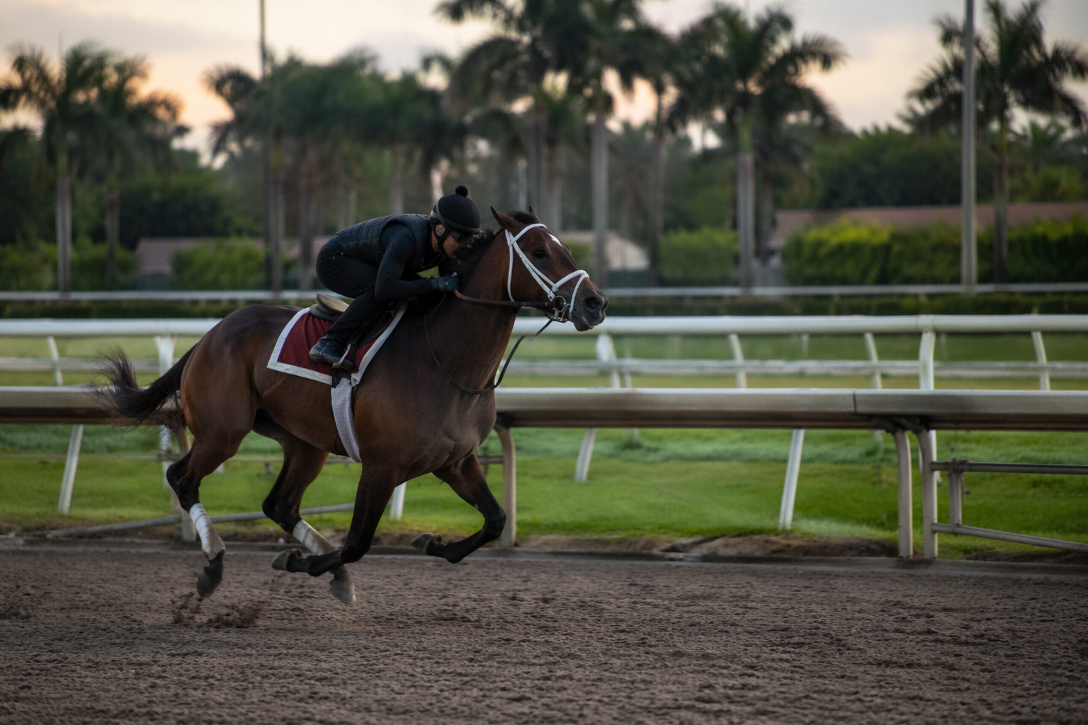 Claret Beret dies after routine work following Grade 1 Apple Blossom ...