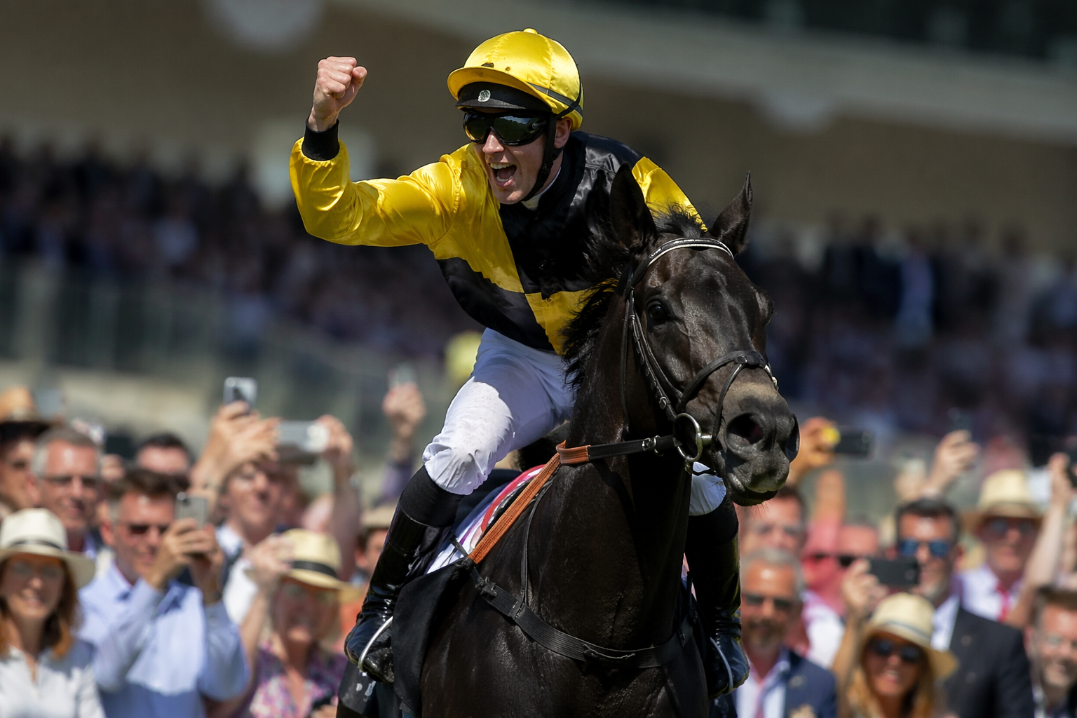 Wathnan Racing buys London Gold Cup winner Lost Boys for Ascot bid ...